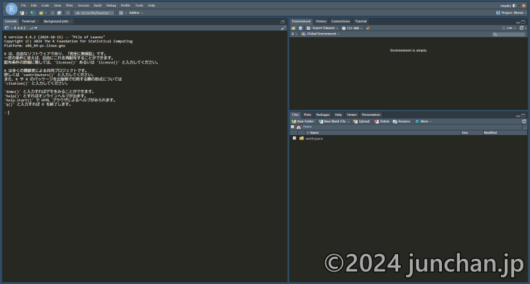 Dockerを使ってR Studio ServerをLinuxサーバにインストールする。Rockerイメージが使いやすかった | Drafts