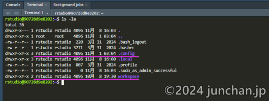 Dockerを使ってR Studio ServerをLinuxサーバにインストールする。Rockerイメージが使いやすかった | Drafts