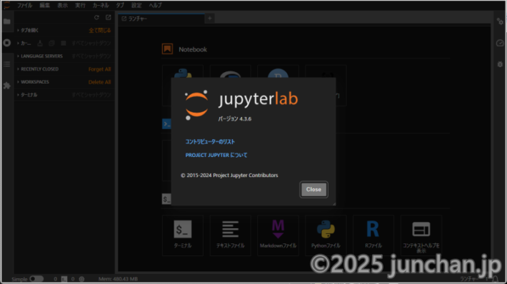 Jupyter Notebookが使いたくて、DockerでJupyterLabを立ち上げる。rocker/binderが便利だった | Drafts